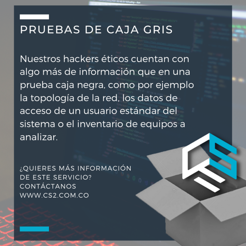 Que son las pruebas de caja gris? – CS2